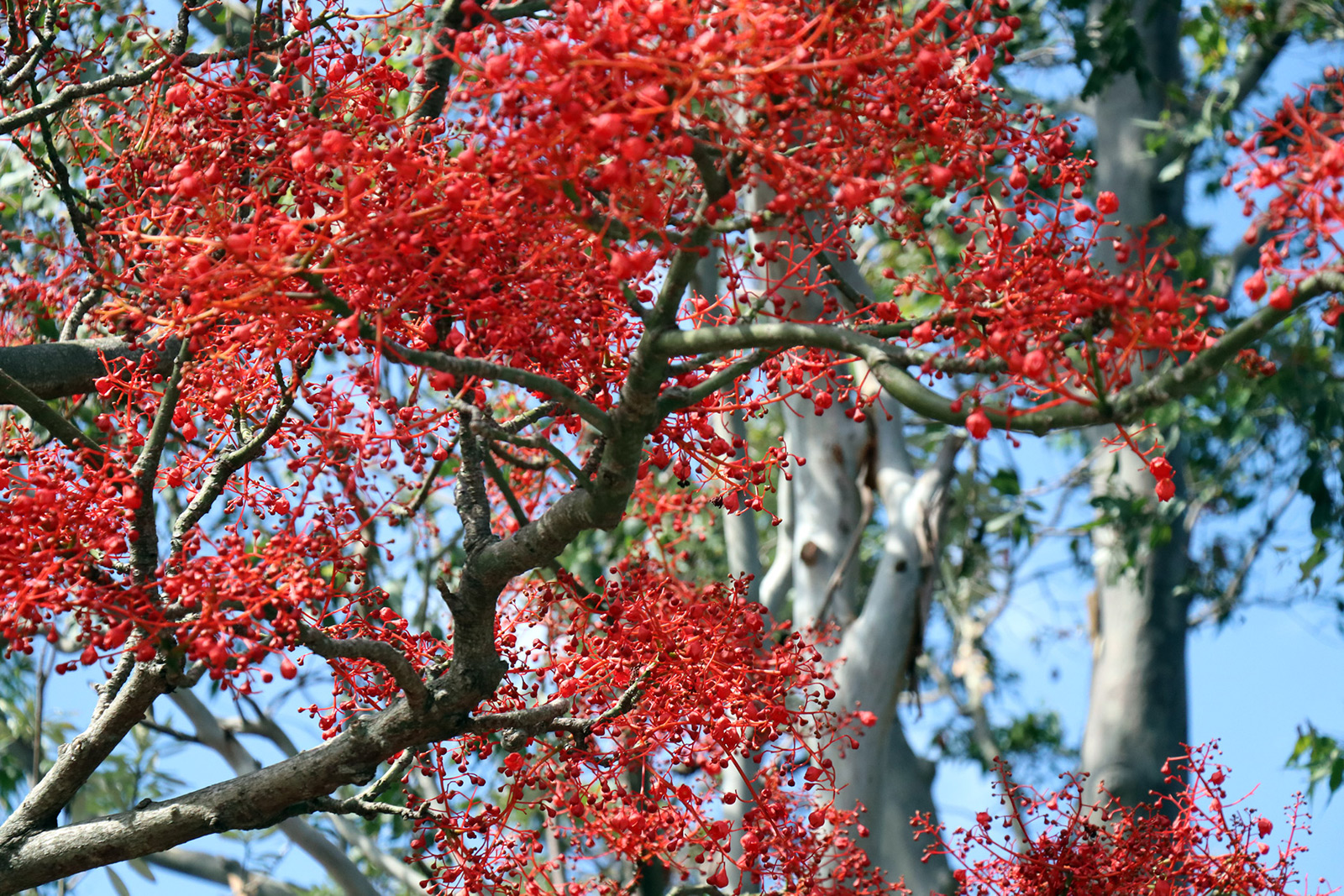 Year 11 Seminar on Managing Stress | Edmund Rice College